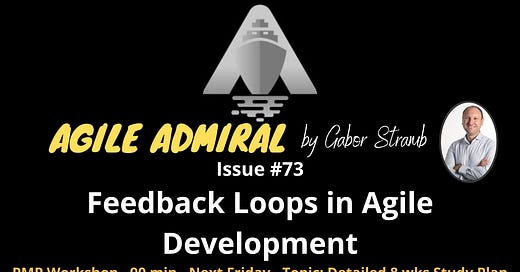 Feedback Loops in Agile Development