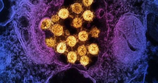 Things Hidden in Complexity | Moriarty | Substack