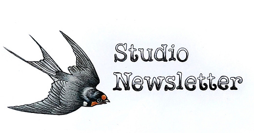 Drawing the Natural World | Val Webb | Substack