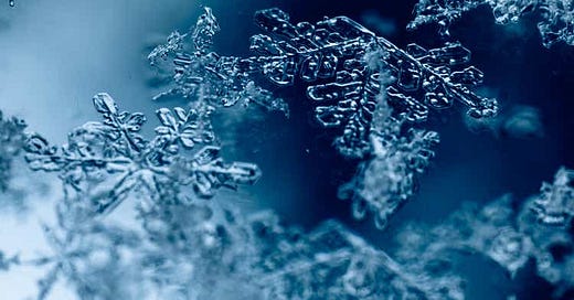 Snowflake Update: To Be Frank, It's Not Great