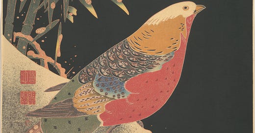 Oldster Magazine | Sari Botton | Substack