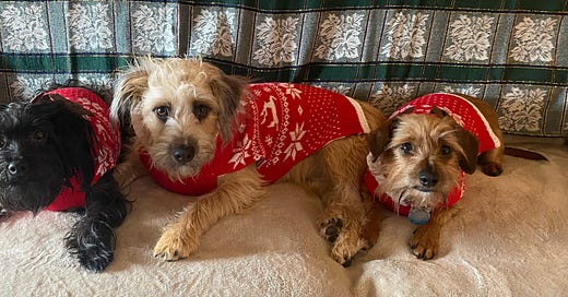 The Positive Pen | John Rinaldo | Substack