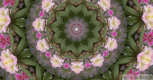 posy & kettle | Sandra Hinchliffe | Substack