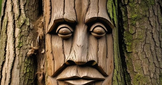 The Oak Bloke’s Substack | Substack