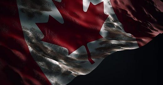 In Moderation | Ally Rose | Substack