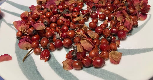 Heart Before the Course | Abbey von Gohren | Substack