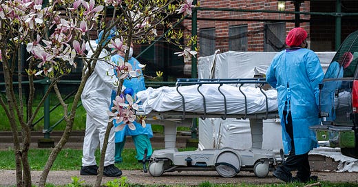 The Progressivists | Jo Lorenz | Substack