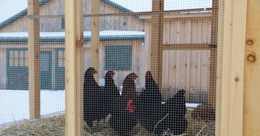 House of Green | Alexandra Fasulo | Substack