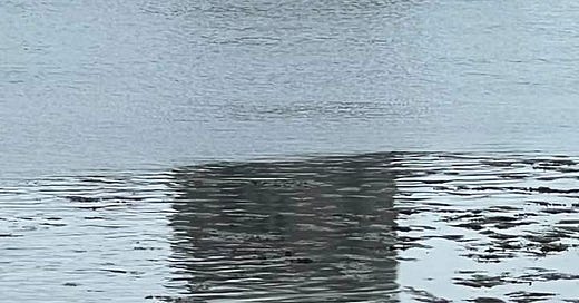 Unmoored | Joe Rhodes | Substack