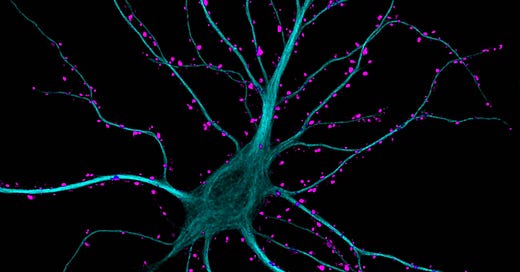 Scientific Horizons | Nicolas Hubacz | Substack