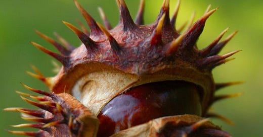 Where are the numbers? by Norman Fenton and Martin Neil | Substack