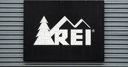 The Field Report | Steve Holmberg | Substack