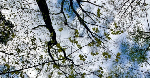 Jessica Adam | Substack