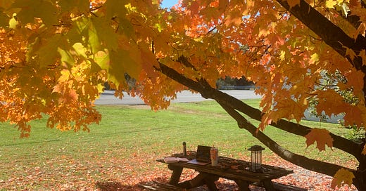 One Brave Thing | Geneva Eby | Substack