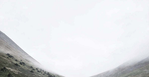 To The Bone | Hank Shaw | Substack