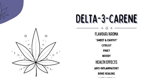 AusCannaReviews’s Substack | Christina Mc Mullan | Substack