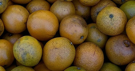 Ella Schmidt | Substack