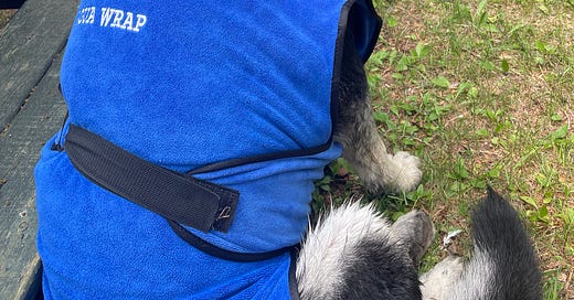 J.F. Riordan; Reflections on a Life in Exile | J. F. Riordan | Substack