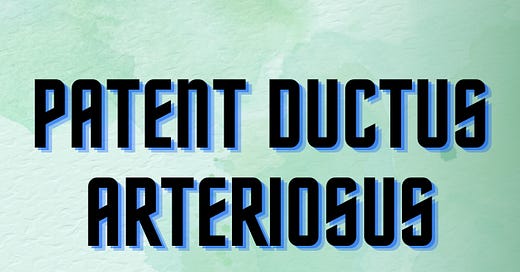 The Echo Journal | Aram K. | Substack