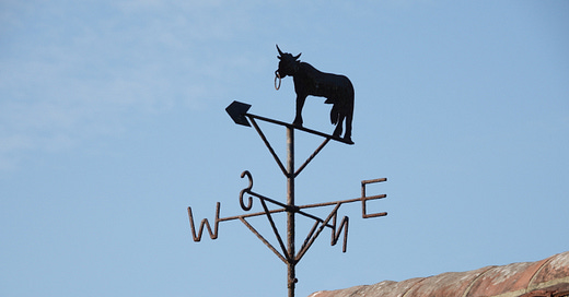 David Whyte | Substack