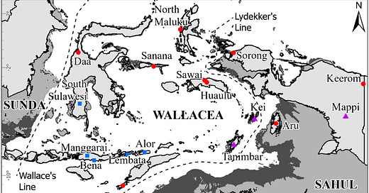 Anthropology.net | Kambiz Kamrani | Substack