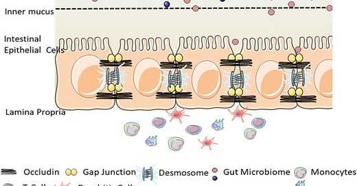 Genetic Lifehacks | Debbie Moon | Substack