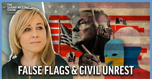 Sarah’s Report | Sarah Westall | Substack