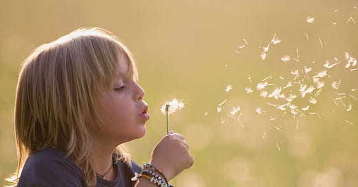 Naturally Well with Kati | Naturopath Kati | Substack