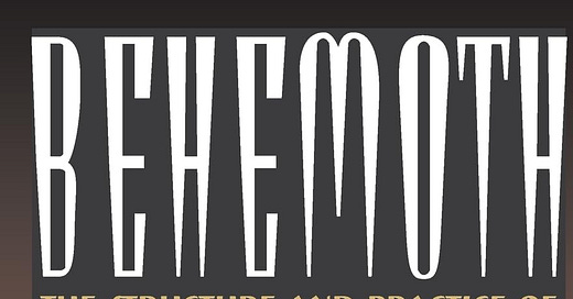 BIG by Matt Stoller | Substack