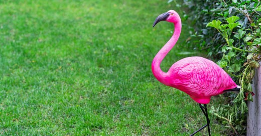 Poem: Boomer at Homosassa Springs - by Joffre Swait