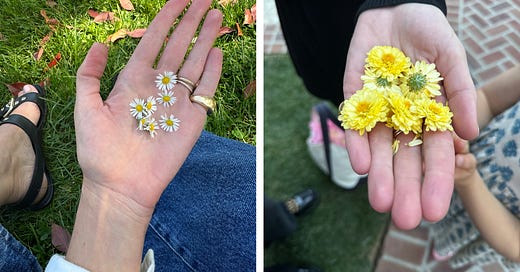 Jane on Jeans | Jane Herman | Substack