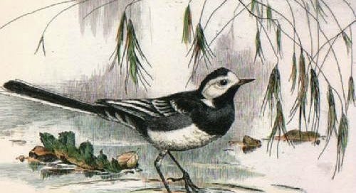 { Notebook } | Steven | Substack