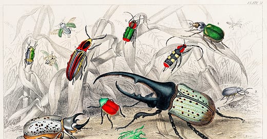 The Hinternet | Justin Smith-Ruiu | Substack