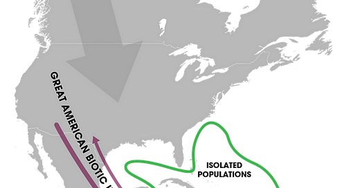 Policy Tensor | Substack