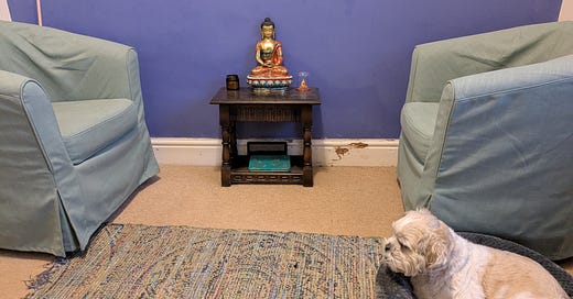 Going Gently | Satya Robyn | Substack