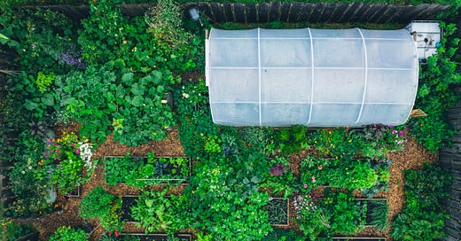 Huw Richards | Substack