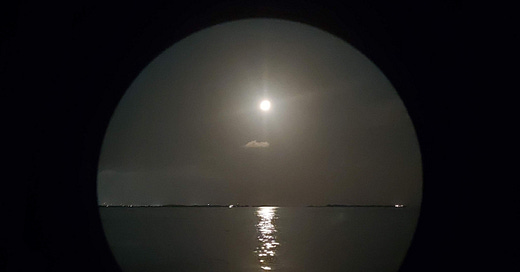 SPARRING WITH MOTHER NATURE | Janice Anne Wheeler | Substack