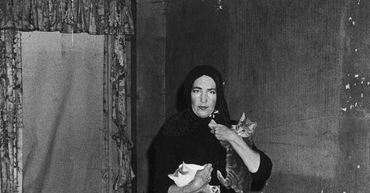 Attention Economy | Leigh Stein | Substack