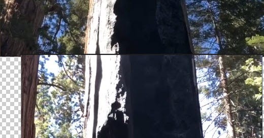 Inside the mind of Dr. Chris Kacher: This is me | Substack