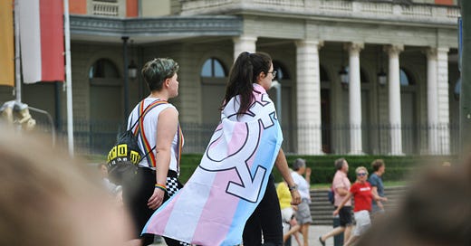 Inspecting Gender | Substack