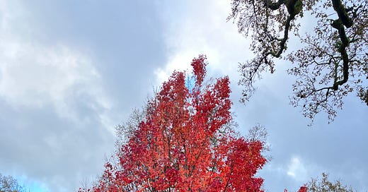 Bell Tower | Sommer Schafer | Substack