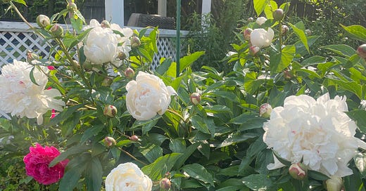 Humans Leading | Jillian Bybee | Substack