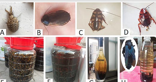 Entomotherapy: The Use of Medicinal Insects
