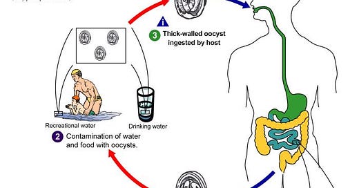 Outbreak News Today | Robert Herriman | Substack