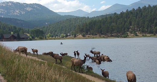 The Preparation | Maxim Benjamin Smith | Substack