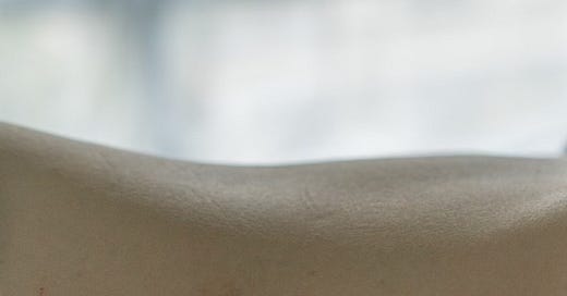 Erin & Sia's Substack | Erin Chen & Sia Zhao | Substack