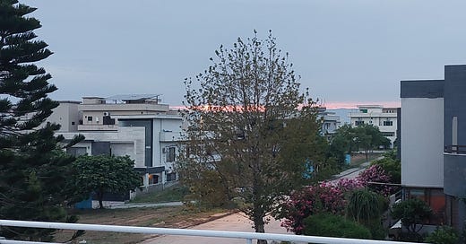 Sofia kashif | Substack