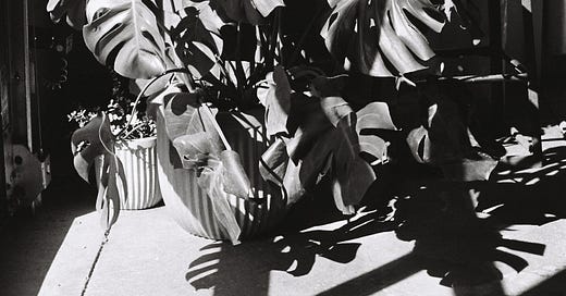 Heart & Hope | Anna Tran | Substack