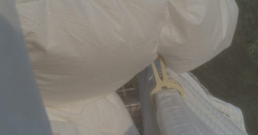 Erin & Sia's Substack | Erin Chen & Sia Zhao | Substack