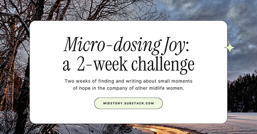 Midstory Magazine | Jessica Smock | Substack